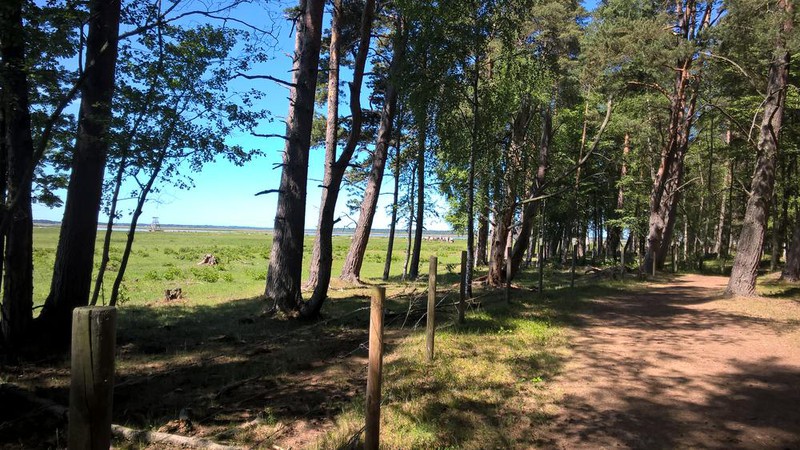 Dabas parks "Engures ezers"- pasakaina vieta - Sievietēm - Māmiņu klubs